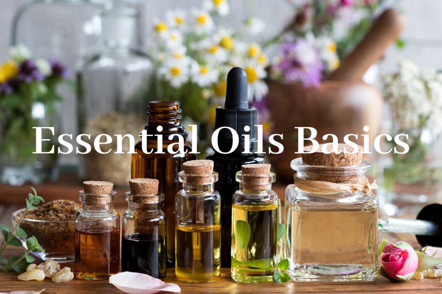 Essential Oil Basics: Unlocking the Power of Nature – CáMora Personal ...